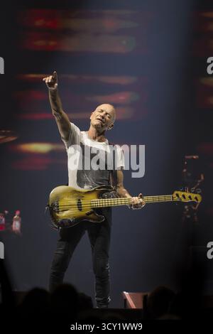 Sting, real name Gordon Sumner, live performance on stage. Bass player ...