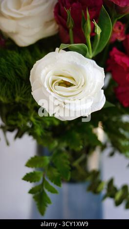 White defocused blurred roses flowers background. Abstract flower ...