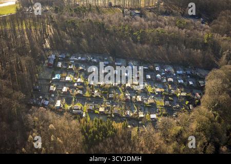 Aerial view, allotment garden association Ischeland, trees in autumn ...