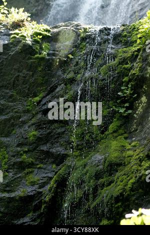 Mountain stream through mossy rocks in the Blue Ridge Mountains ...