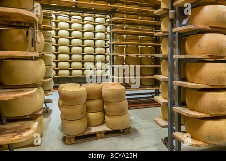 Traditional production process of Parmigiano-Reggiano hard cheese in ...