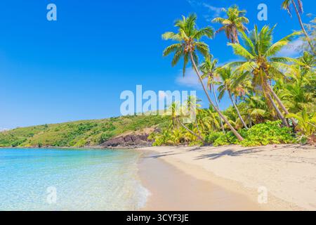 Tropical sandy beach, Drawaqa Island, Yasawa islands, Fiji Stock Photo ...