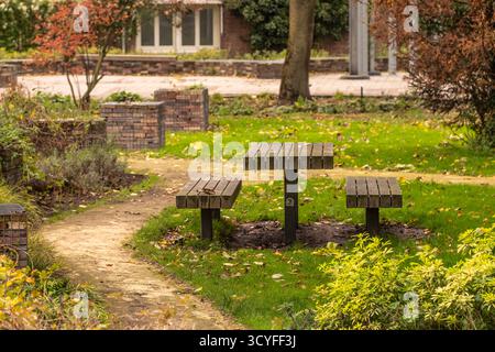 Wooden benches in the park, fallen autumn maple leaves on paving stones ...