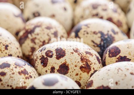 Closeup view of quail eggs. Macro shot Stock Photo - Alamy
