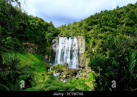 Powerful waterfall in a forest surrounded by beautiful green trees ...