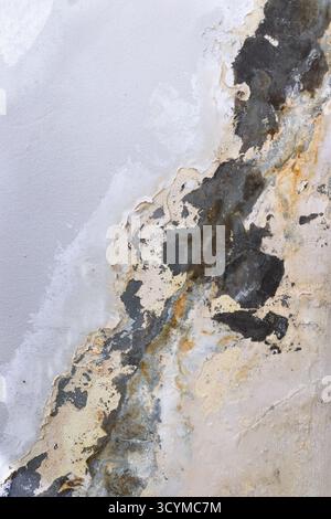Old damp wall with peeling paint texture Stock Photo - Alamy