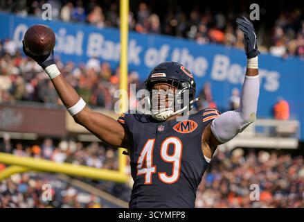 Chicago Bears middle linebacker Tremaine Edmunds (49) looks on during ...