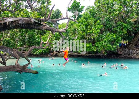 Blue Lagoon, Efate, Vanuatu Stock Photo - Alamy