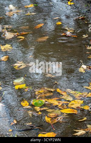 Rain drops creating circular ripples on calm water surface minimal ...