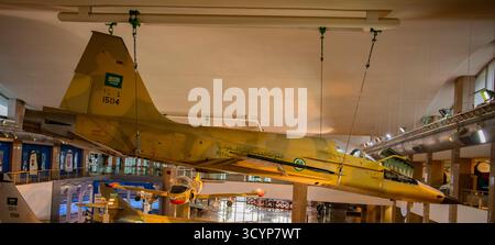 Saudi Tiger II Stock Photo - Alamy