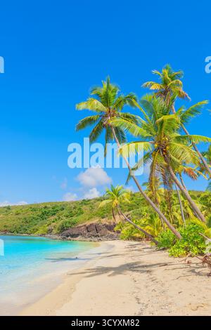 Tropical sandy beach, Drawaqa Island, Yasawa islands, Fiji, South ...