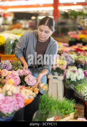 Girl salesman takes out bunch of hydrangea from showcase Stock Photo ...