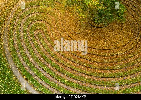 Hanover, Germany. 21st Oct, 2025. Autumn-colored leaves lie in the ...
