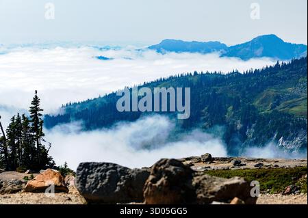 Fog filled valley; near Mount Rainier; Cascade Range; Mount Rainier ...