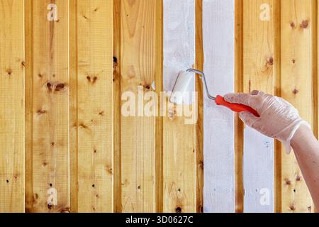 Painter uses roller to paint siding wall blue while crouching down ...