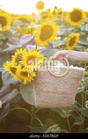 Female hand holds bouquet of yellow daffodils, gives a gift for ...