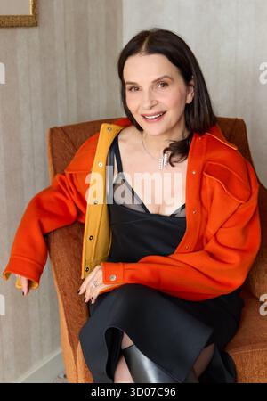 Viennale 2025 Vienna International Film Festival - Premiere of " Late Fame " at Gartenbaukino in ...