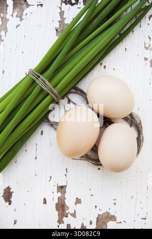 Spring onions, egg on old white table Stock Photo - Alamy