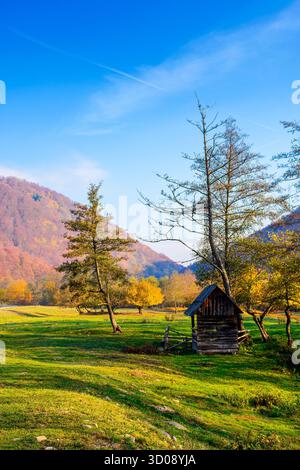Beautiful view of trees under a red and orange cloudy sky Stock Photo ...