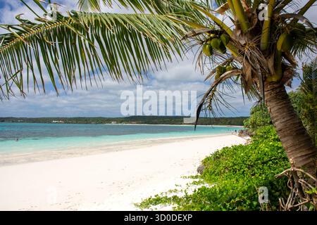 Tropical beach, Luecila Beach, Lifou Island, New Caledonia (Nouvelle ...