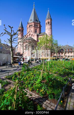 Germany, Rhineland-Palatinate, Mainz, Dom, Cathedral Stock Photo - Alamy