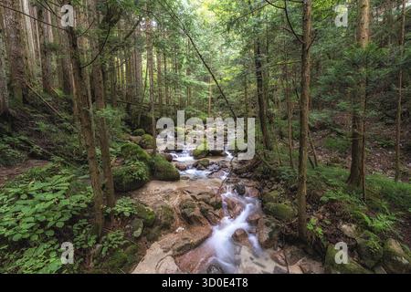 Small stream near Nakasendo Trail from Magome to Tsumago. Famous hiking ...