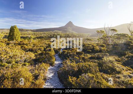 The wide landscape views at sunset of Barn Bluff and alpine heath ...