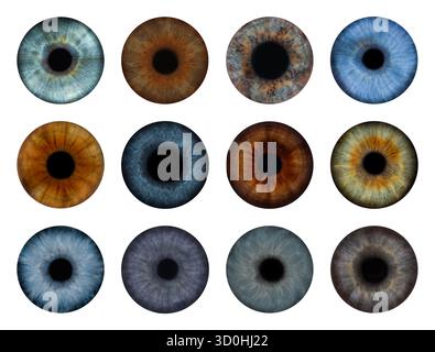 Human eye, closeup. Colorful irises on white background Stock Photo - Alamy