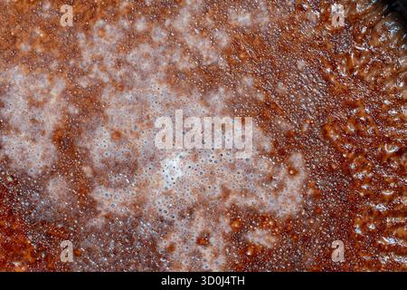 Closeup of bubbles on light brown background Stock Photo - Alamy