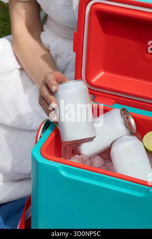 Close-up of Cold Case brand ice cream box, Lafayette, California ...