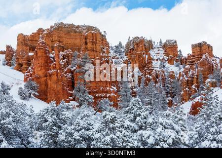 Picturesque colorful pink rocks of the Bryce Canyon National park in ...