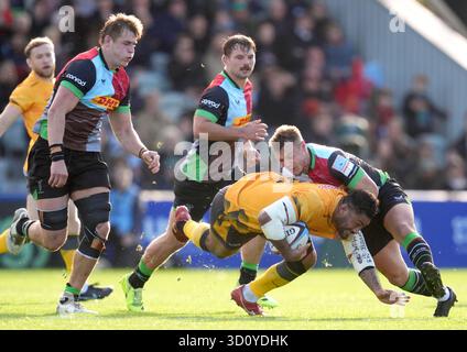 Amanaki Mafi of Newcastle Red Bulls celebrates a try with team-mates ...