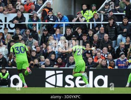 Sasa Lukic of Fulham celebrates his goal to make it 1-1 during the ...