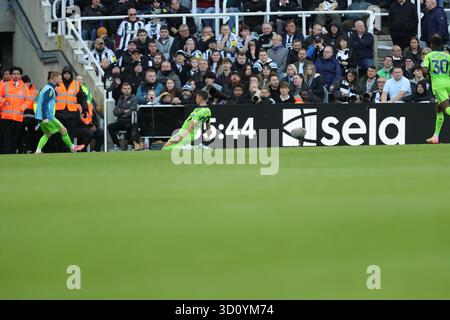 Sasa Lukic of Fulham celebrates his goal to make it 1-1 during the ...