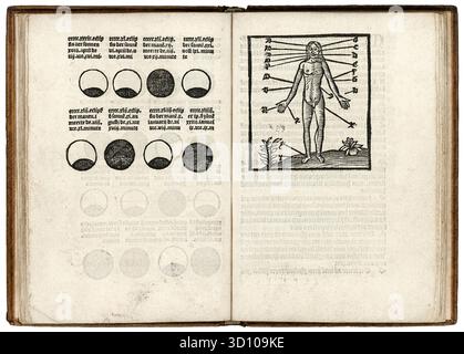 Moon in different phases Stock Photo - Alamy