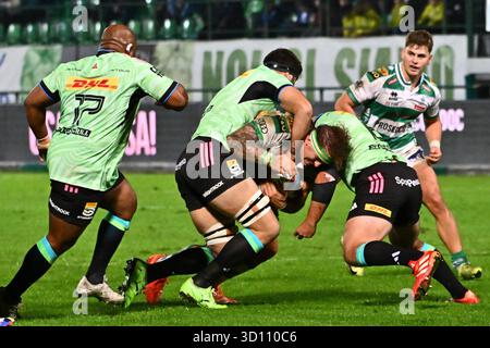 Michele Lamaro (Benetton Rugby Stock Photo - Alamy