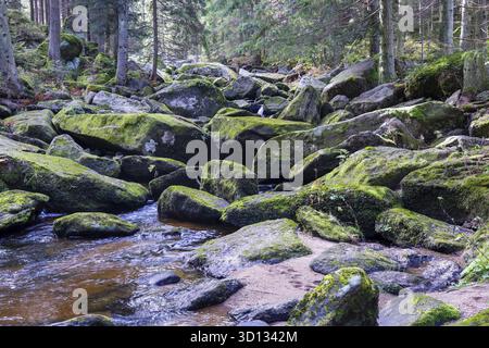 Large mossy stones in the water in Iceland Stock Photo - Alamy