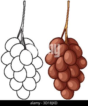 Side-by-side colored and outline versions Stock Vector Image & Art - Alamy