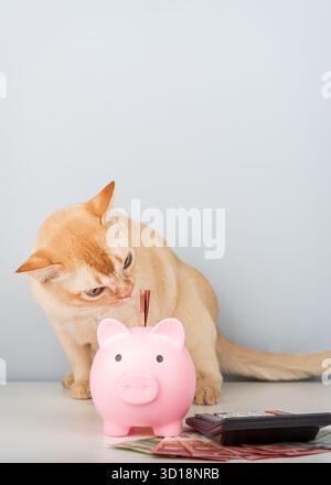 Finance and economics concept. On the desktop are charts, reports, a ...