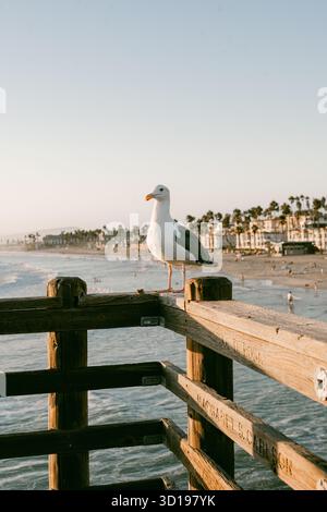 Sunset on the Oceanside Pier Stock Photo - Alamy