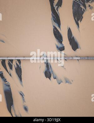 Aerial view of braided river patterns creating a mesmerizing display of ...