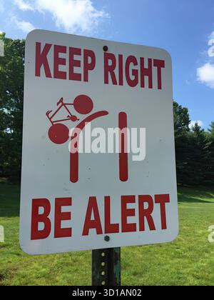 traffic stop examples