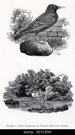 Wood engraving, England, by Thomas Bewick Stock Photo - Alamy