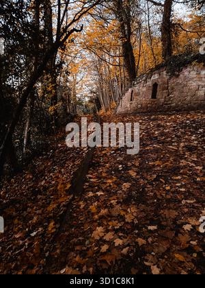 orange car upon stone wall Stock Photo - Alamy