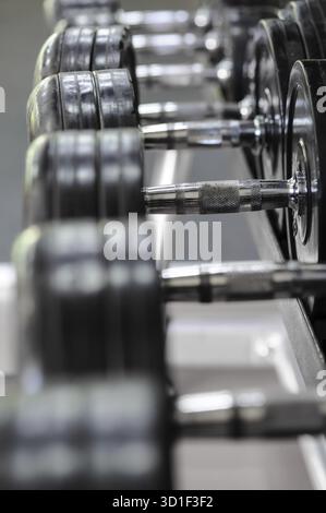 Different dumbbells in the gym Stock Photo - Alamy
