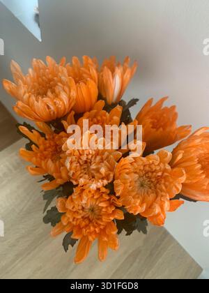 Bouquet of purple chrysanthemums in yellow paper on red and white polka ...