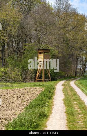 Hunter house in forest. Wooden Hunting Lodge Stock Photo - Alamy