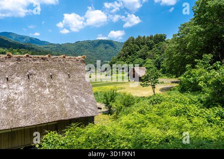Thatched-roof houses and flooded rice paddies define the peaceful ...