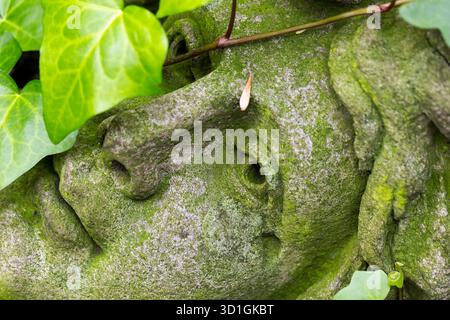 Classic statue at the leaves density Stock Photo - Alamy