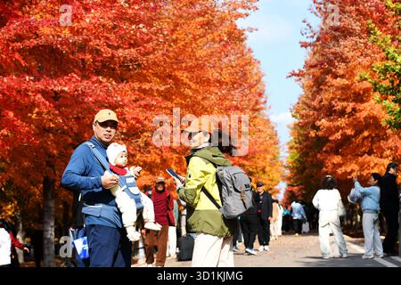 Tourists are enjoying the blooming maple leaves in Qingdao West Coast ...
